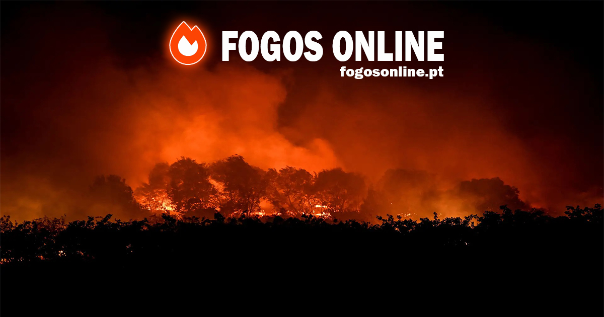 Fogos Online | Mapa de Incêndios Ativos em Portugal em Tempo Real